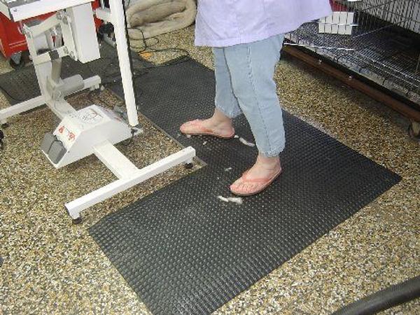 Superior Domed Groomer | Anti Fatigue Mat | The Perfect Mat